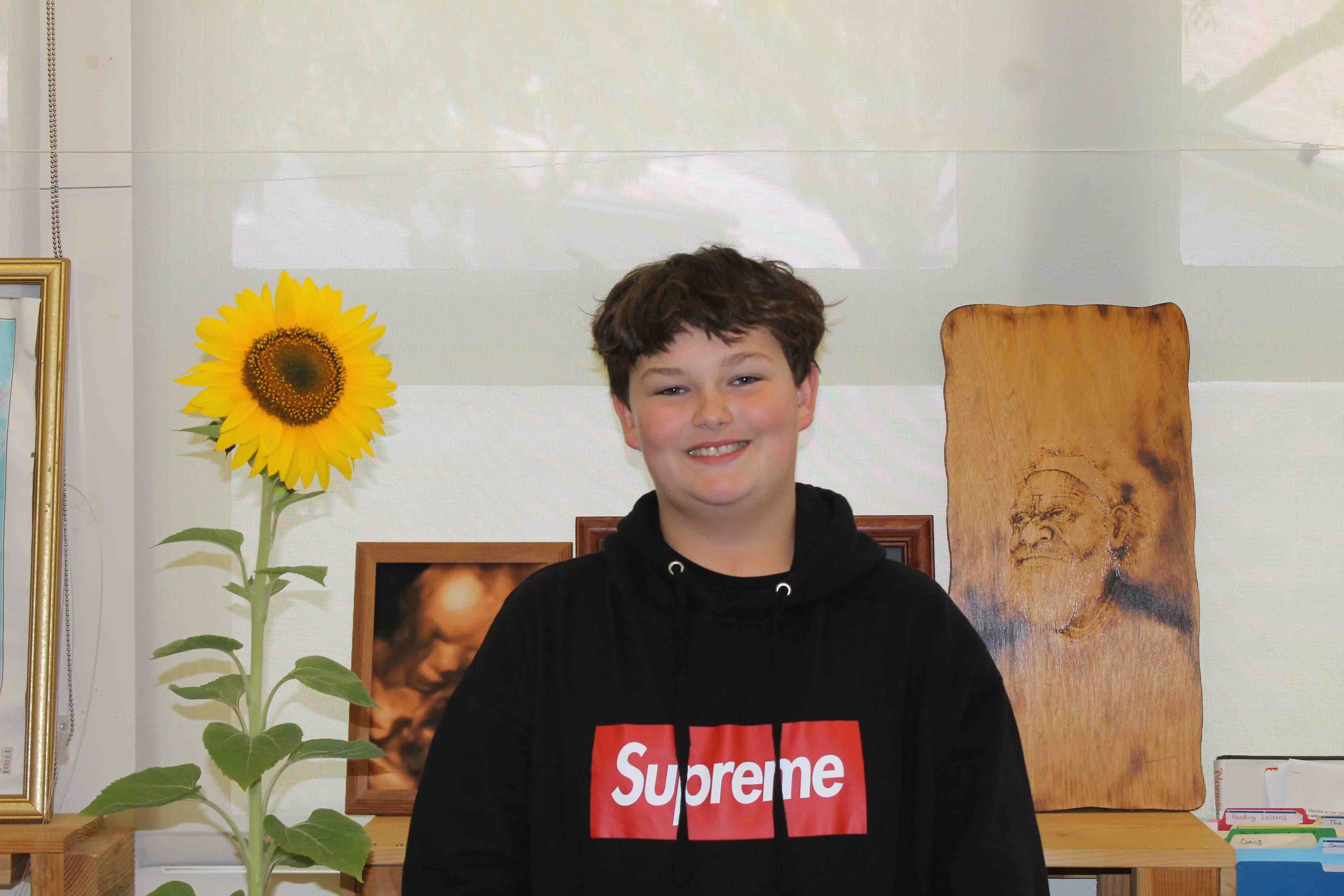 Sunflower Photos for 2023-2024